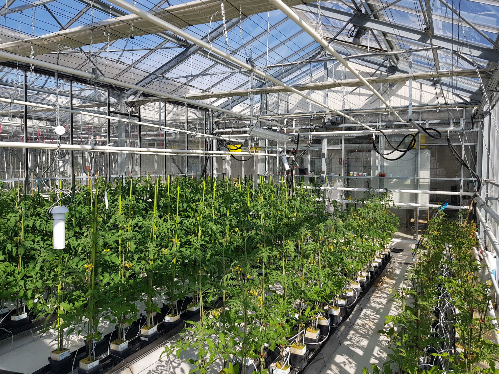 CLIMAE Metaprogram - MEMOSTRESS